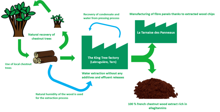 Cradle to Cradle King Tree - King Tree